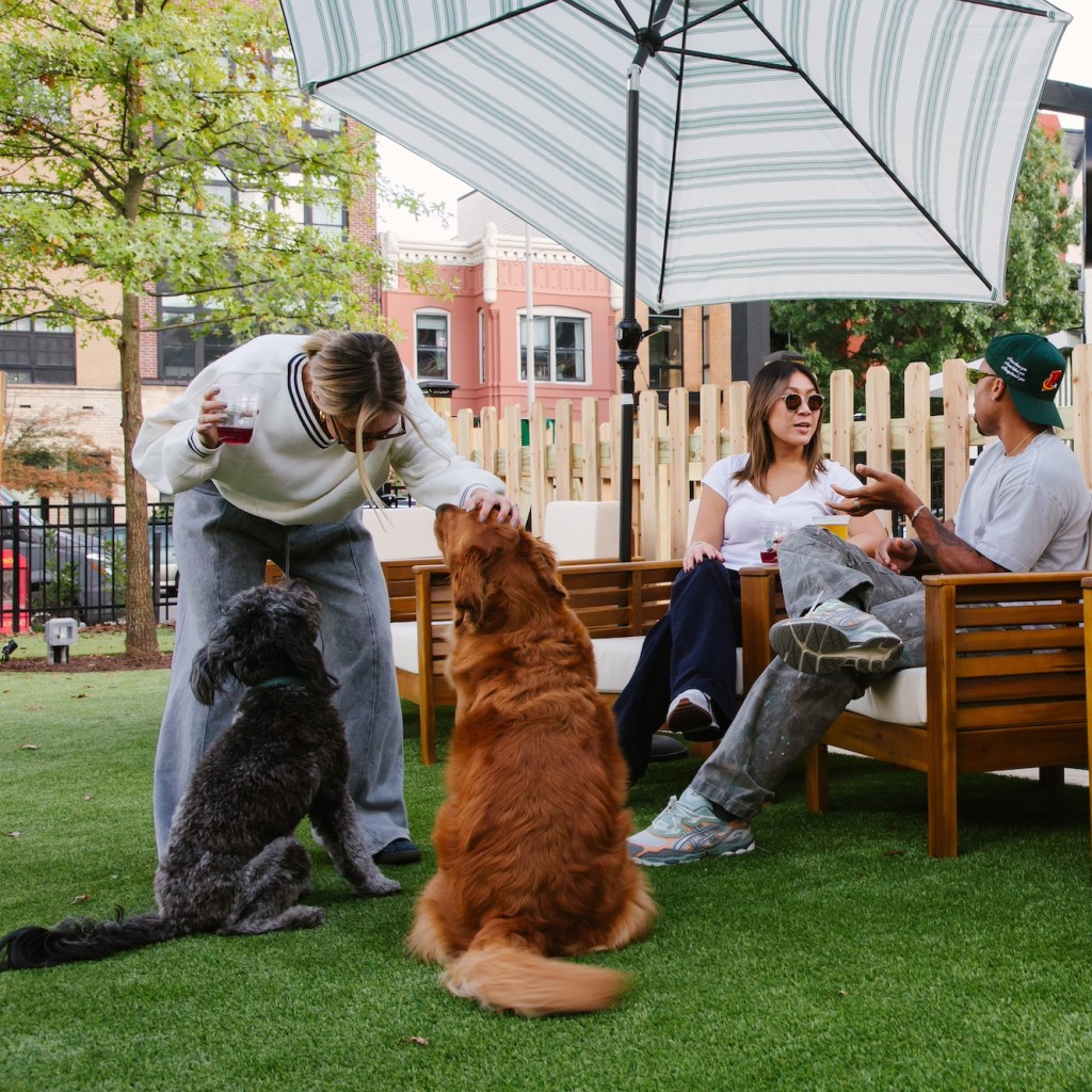 Dog Garden – Dog Daze Social Club
