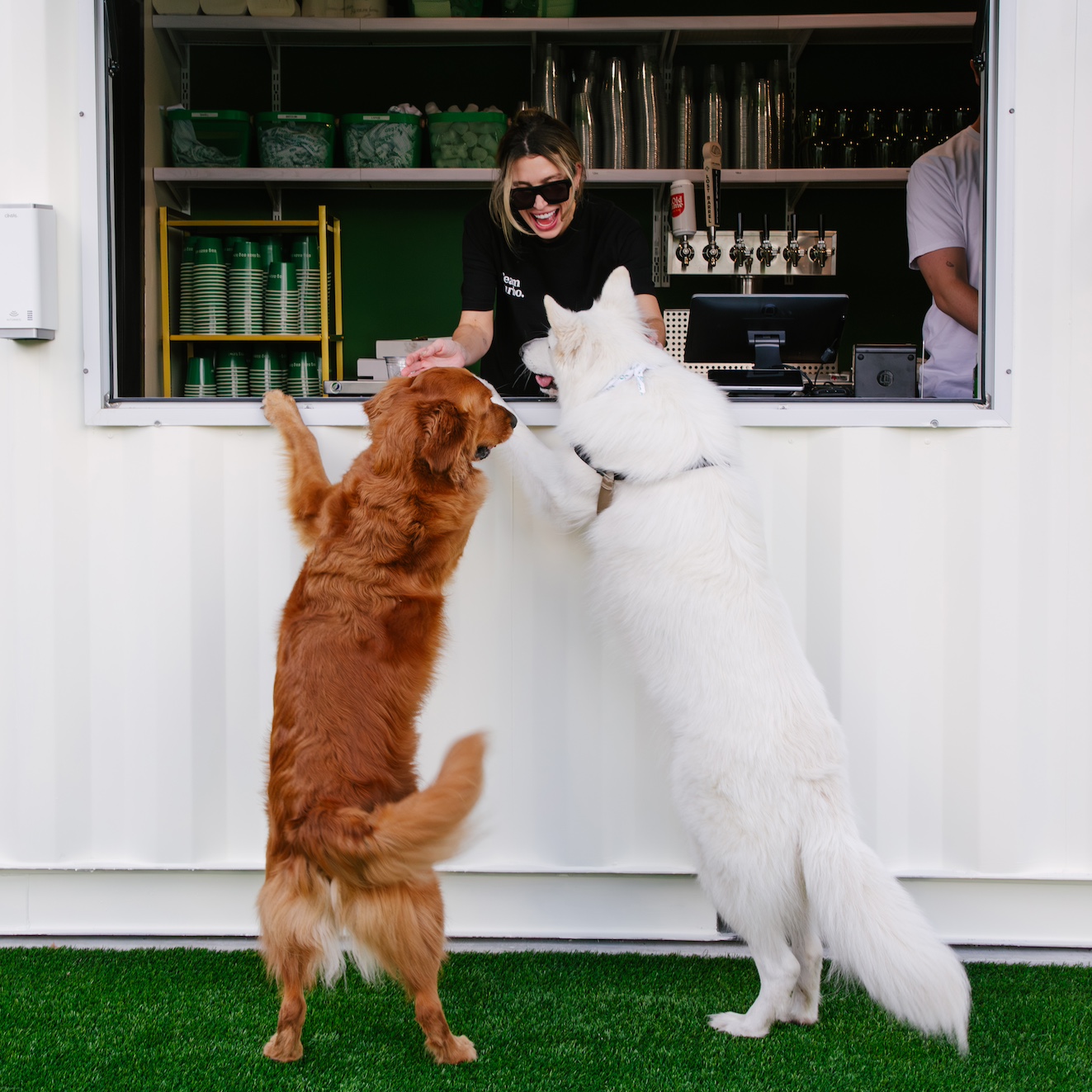Dog Garden – Dog Daze Social Club