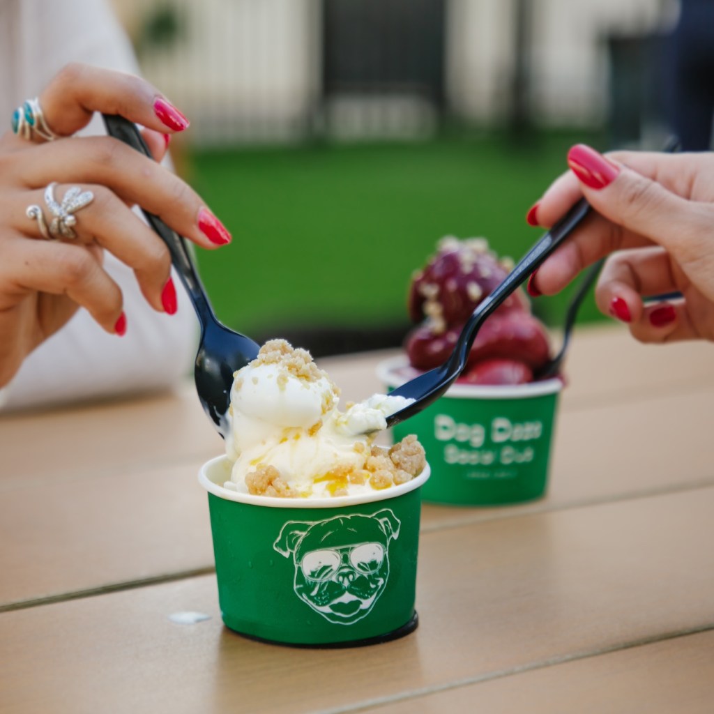 Dog Garden – Dog Daze Social Club